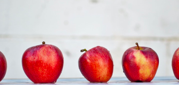 Reflection and Discovery: The Power of Reading Identity in Independent ...