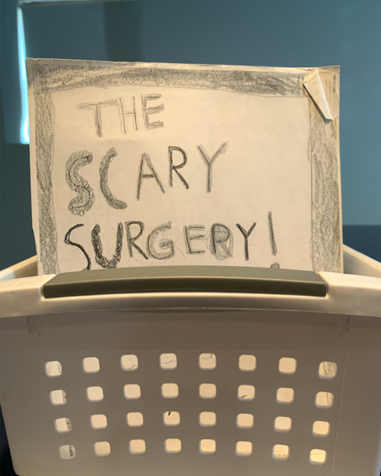 5 Baskets to Add to Every Virtual Classroom Library! – CCIRA ...